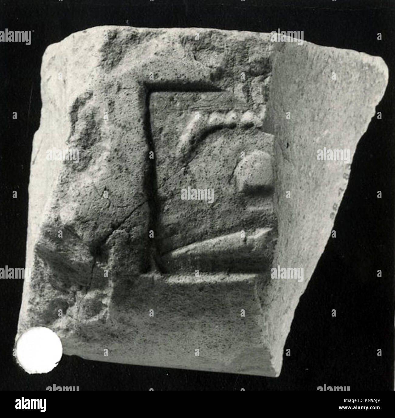 Drum Section High Resolution Stock Photography and Images - Alamy