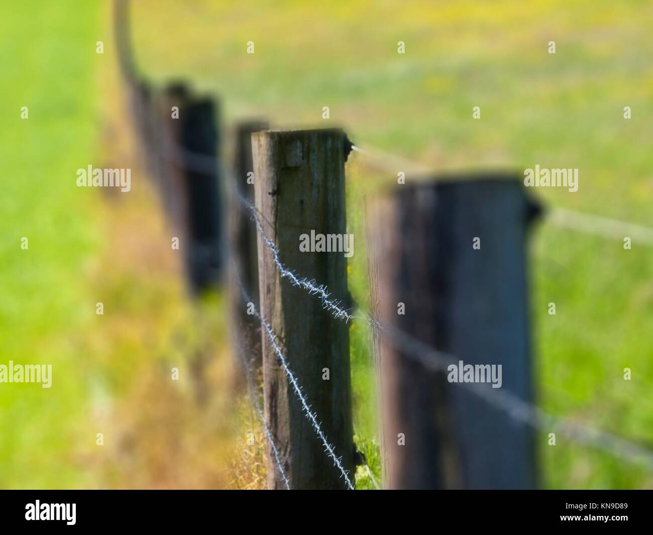 Field fence hi-res stock photography and images - Alamy
