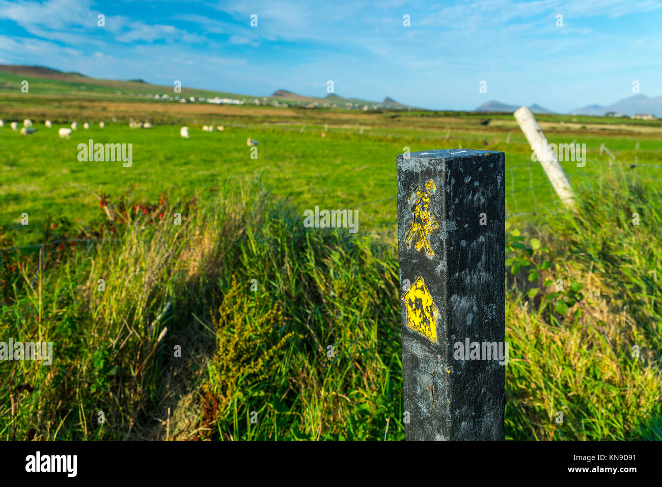 Trail Sign, Dunquin countryside landscape, Dingle Peninsula, County ...