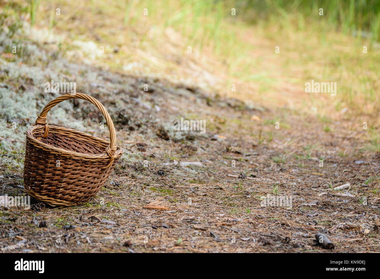 beautiful wooden woven basket in front of forest heatherwith blur ...