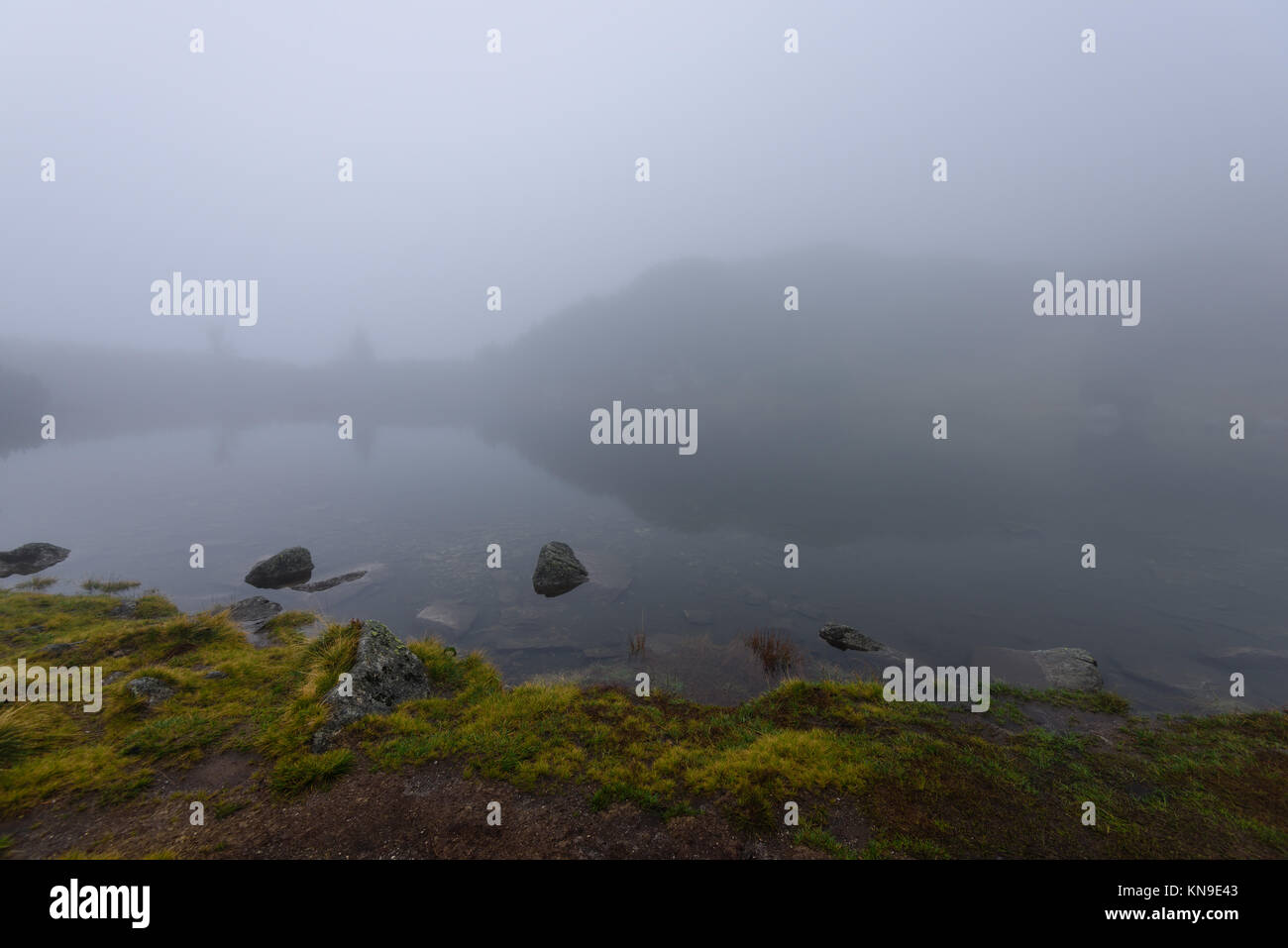 reflections of trees in the lake water at sunrise with morning mist ...