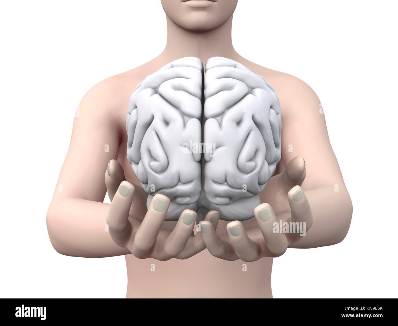 Holding a brain. 3D rendered illustration. Isolated on white Stock ...
