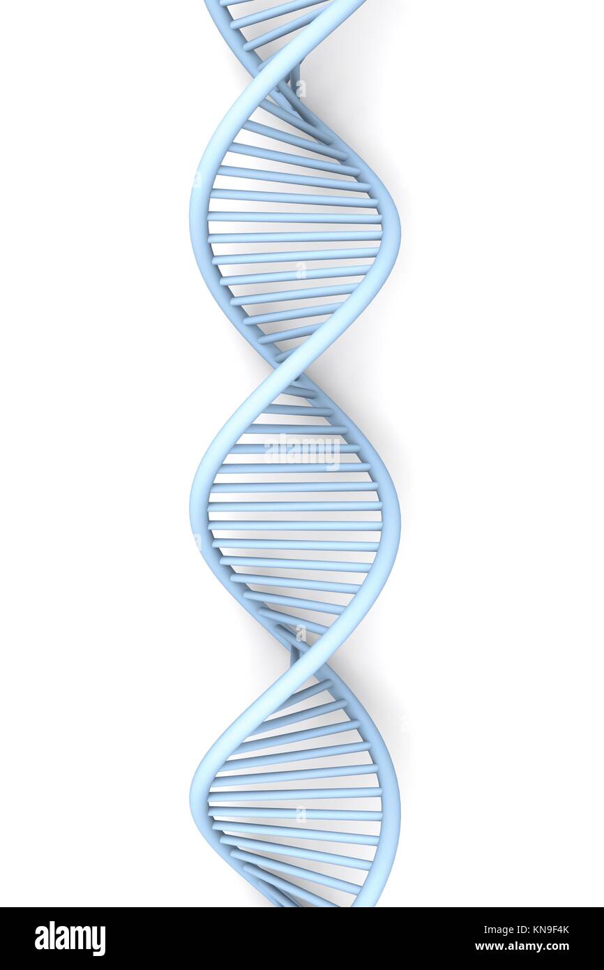 3d dna model on white High Resolution Stock Photography and Images - Alamy