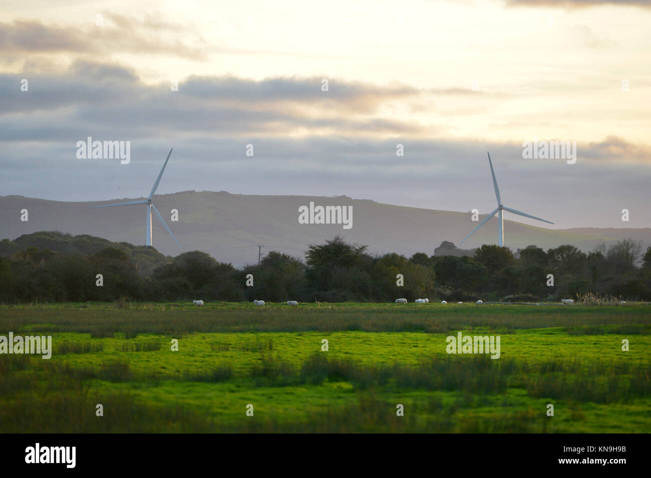 Polegate hi-res stock photography and images - Alamy