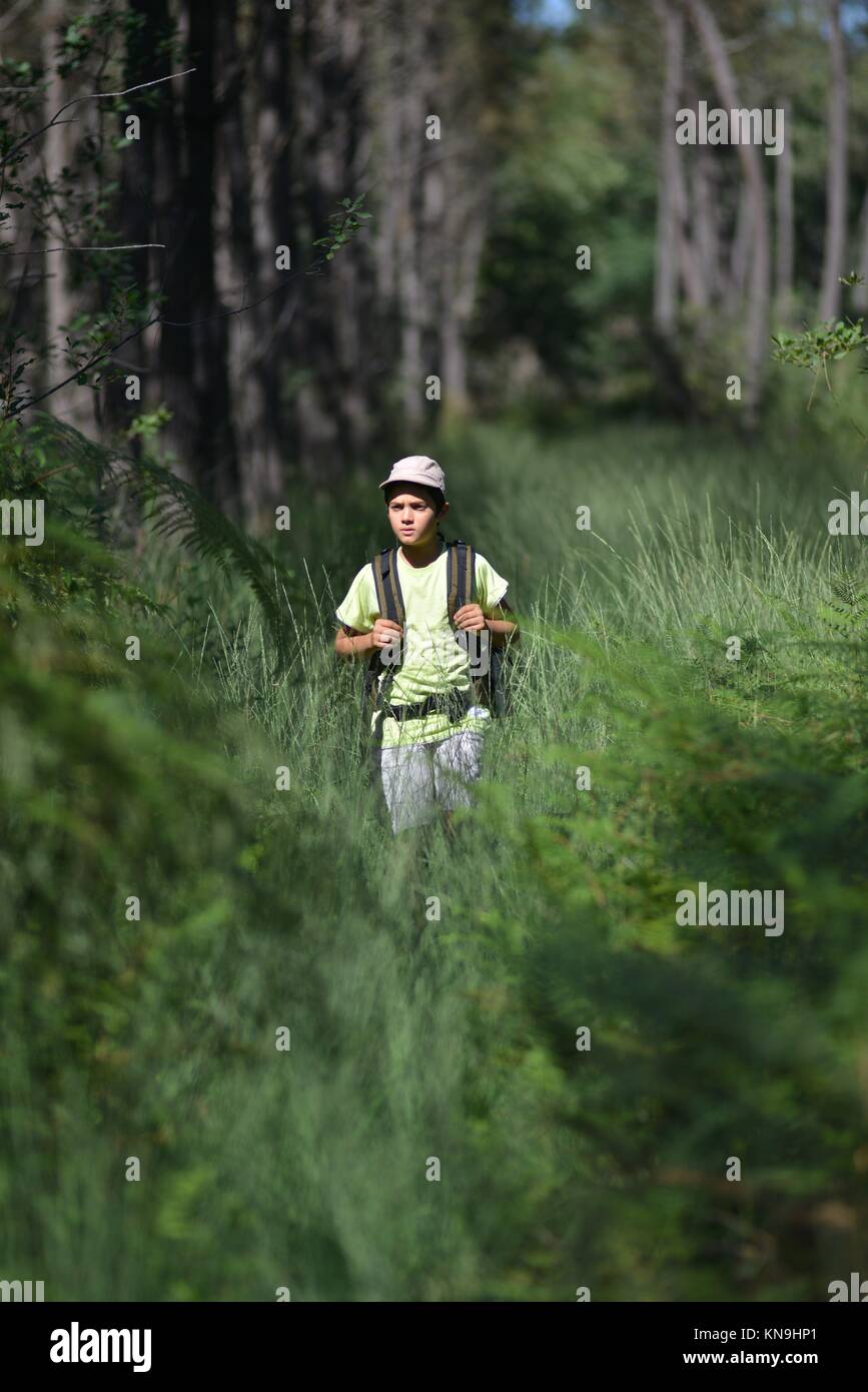 Little boy walking alone in forest, France Stock Photo - Alamy Little boy walking alone in forest, France Stock Photo - Alamy