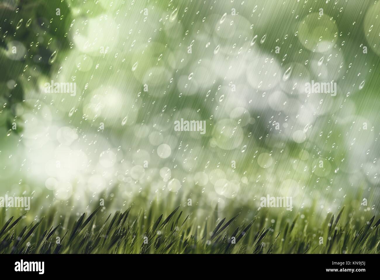 Autumnal rain, beauty natural backgrounds with copy space for your ...