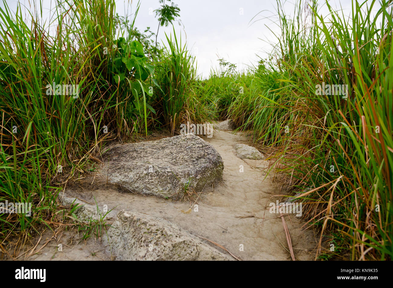 Lifesyle Stock Photos & Lifesyle Stock Images - Alamy