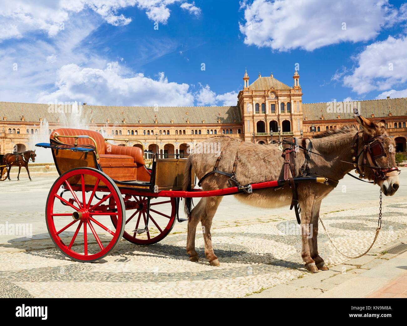 Donkey carriage hi-res stock photography and images - Alamy