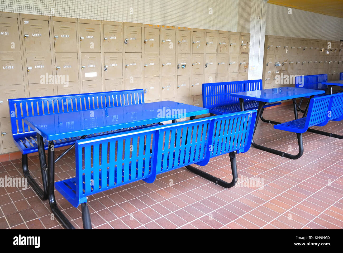 Row of study benches with meal lockers in background. For study and ...