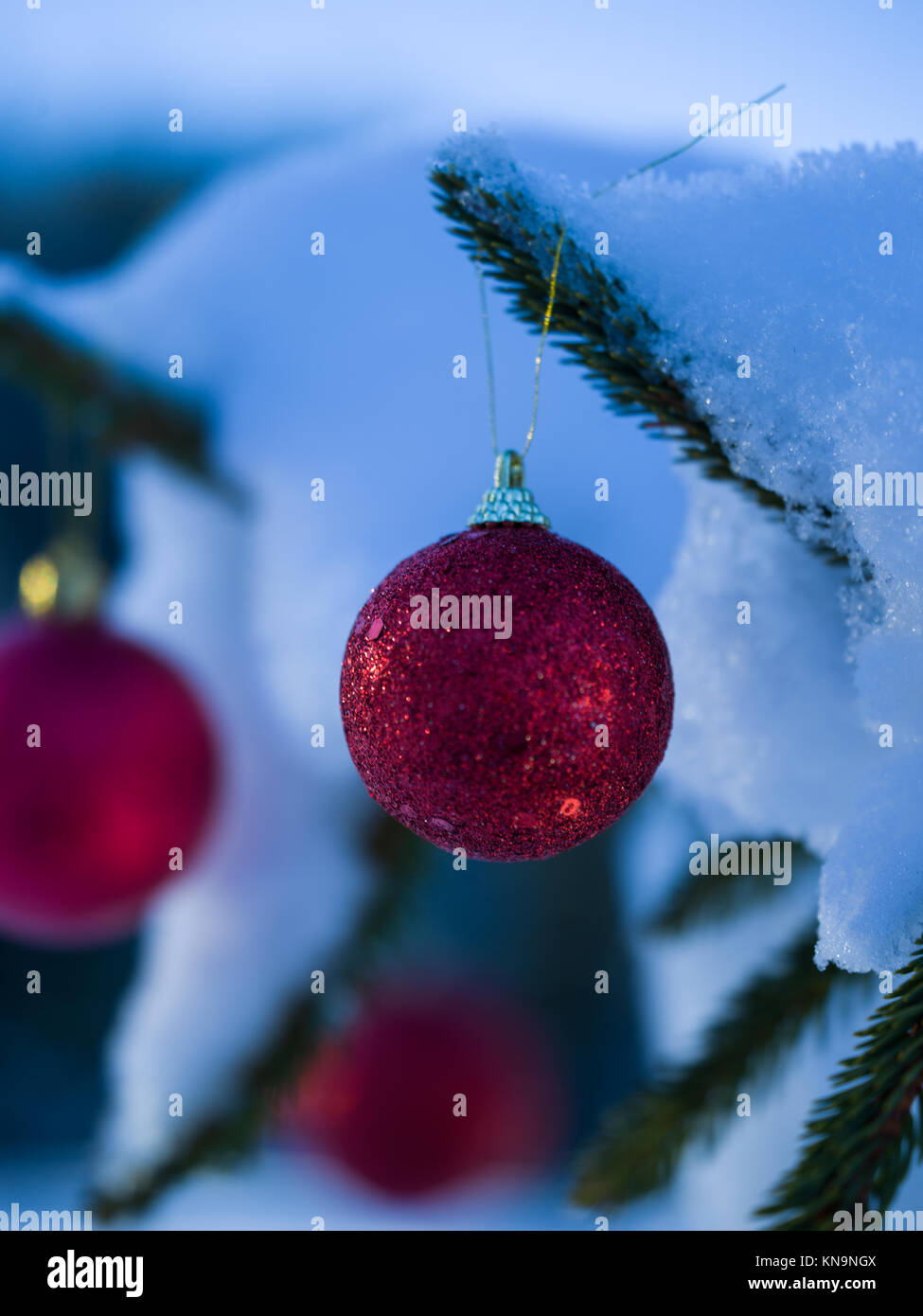 christmas tree red ball decoration with real snow Stock Photo - Alamy