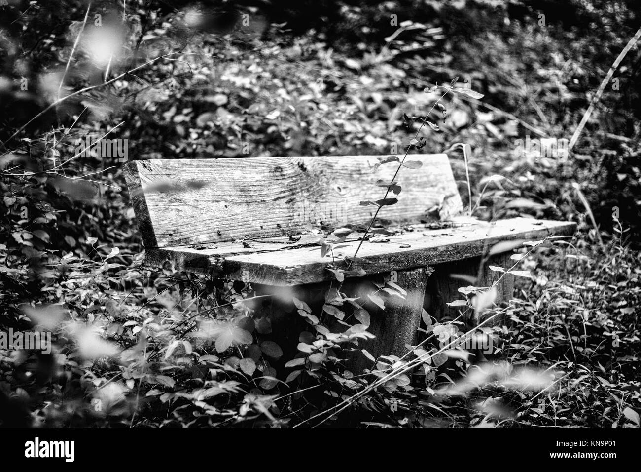 Sit surrounded Black and White Stock Photos & Images - Alamy