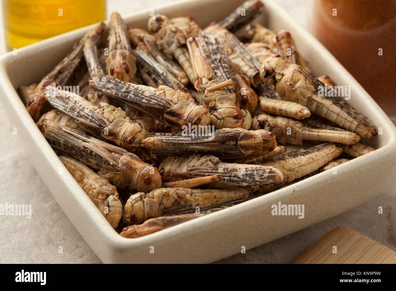 Chapulines High Resolution Stock Photography and Images - Alamy