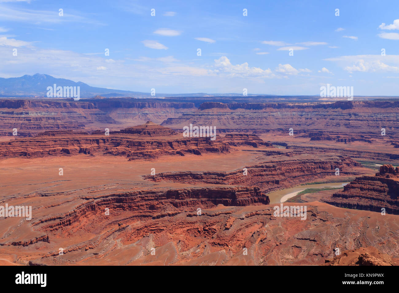 Colorado river canyon. Panorama from Utah. Red rocks. United States of ...