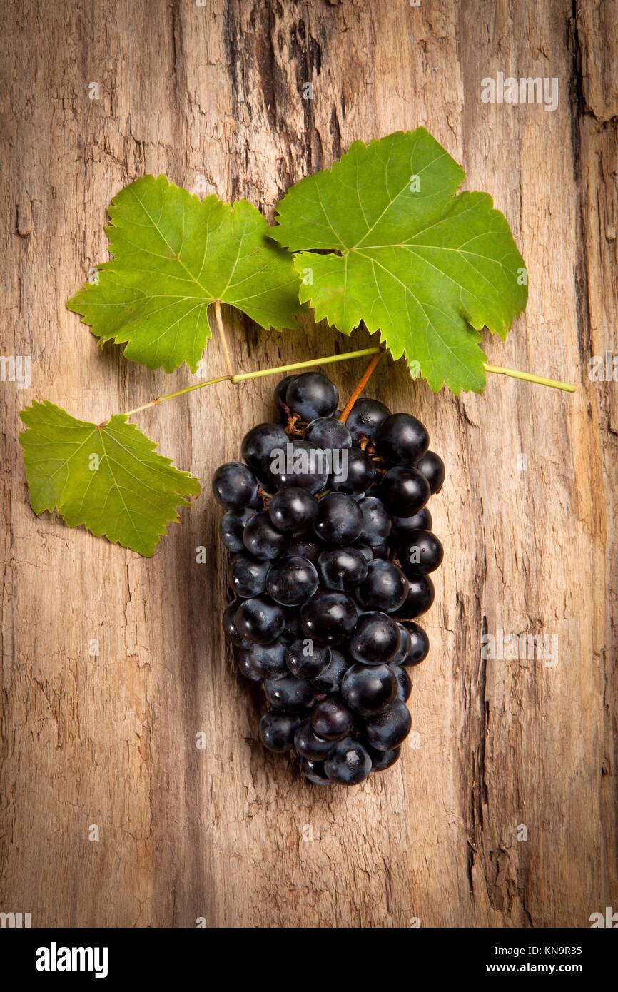 Grenache Grape High Resolution Stock Photography and Images - Alamy