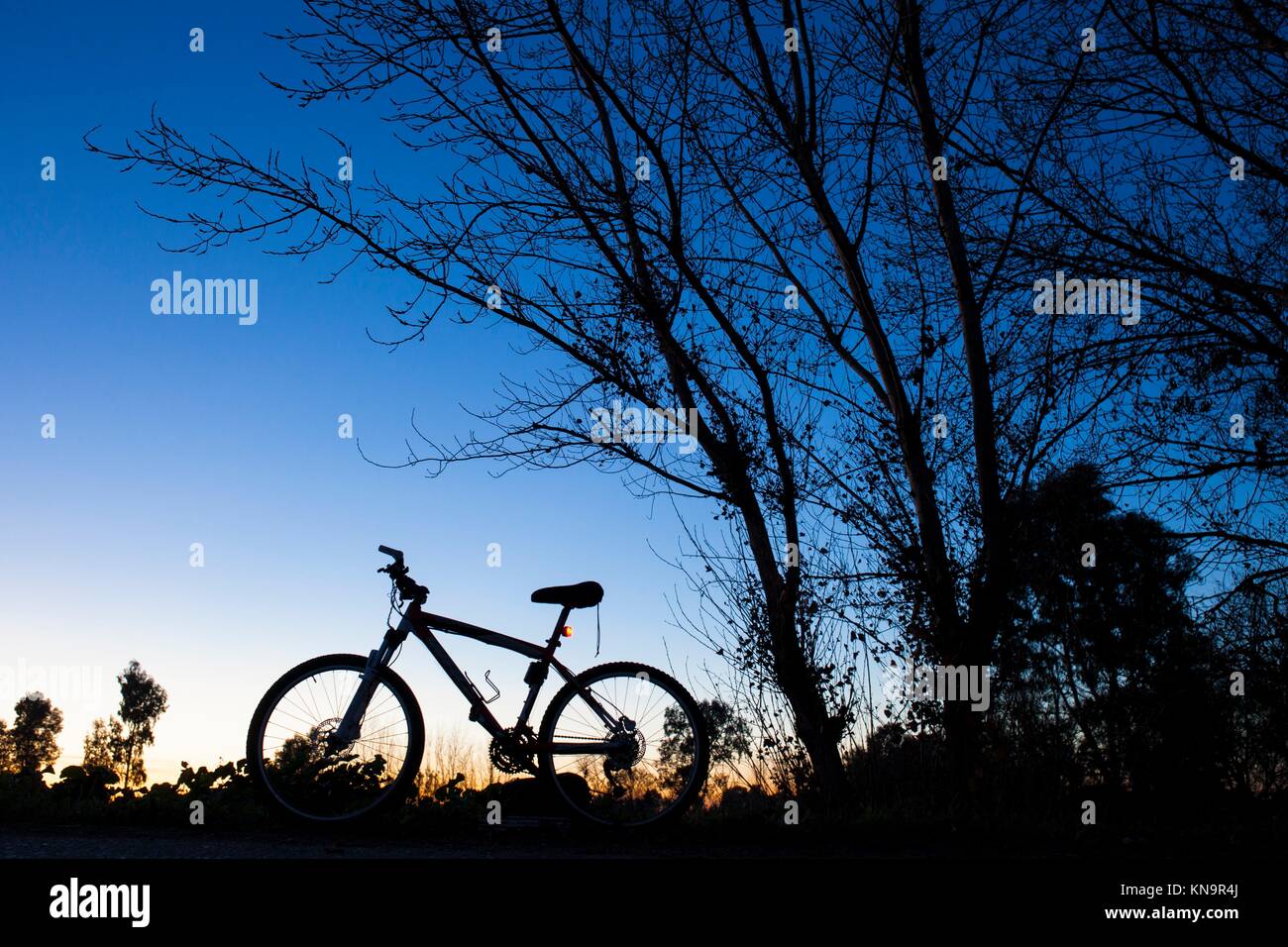 Riding Bicycle Black And Blue