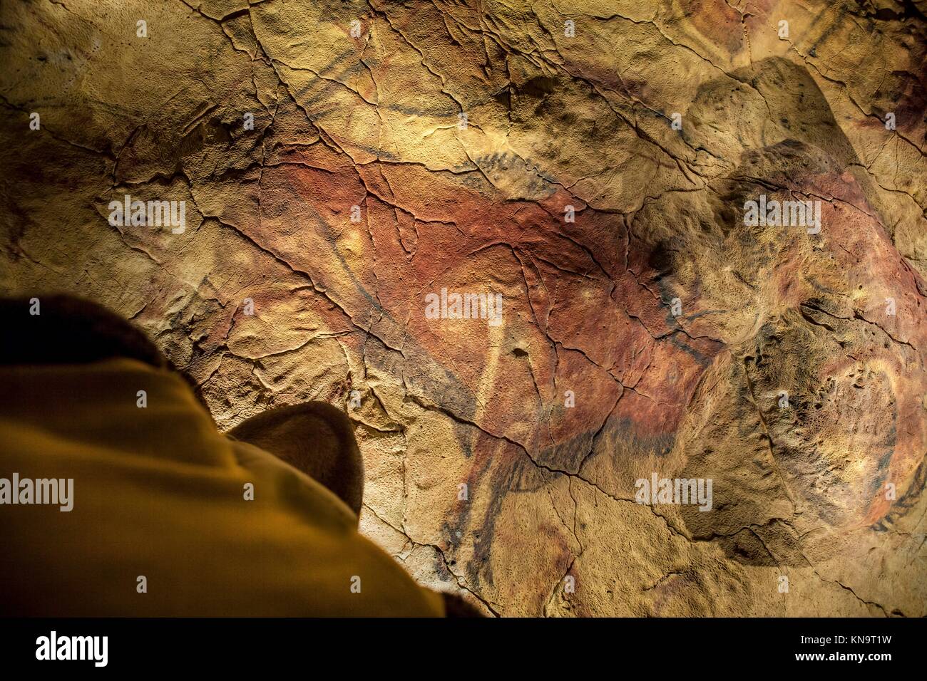 Altamira cave hi-res stock photography and images - Alamy