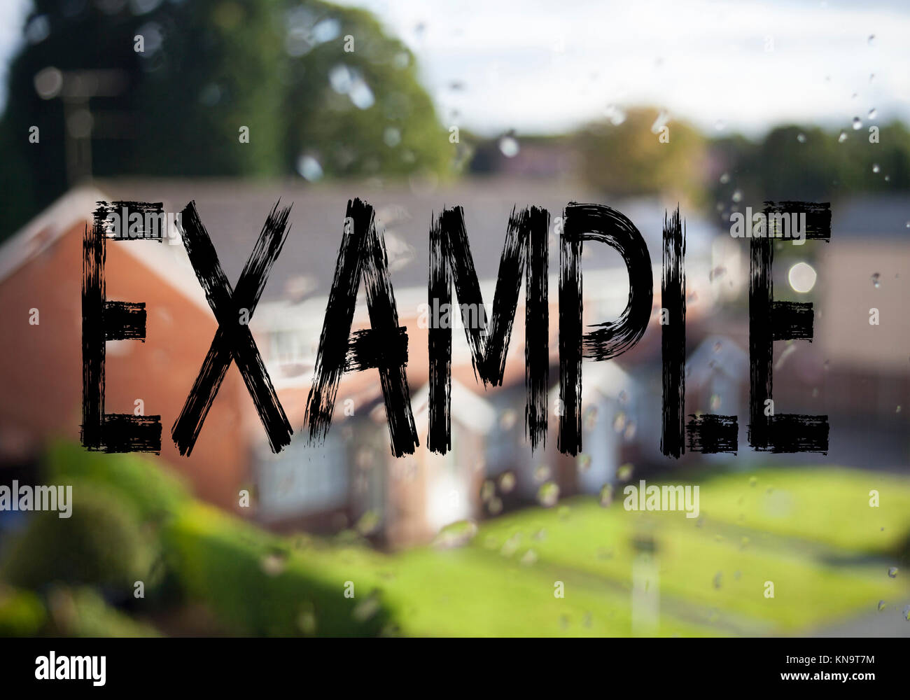 Announcement text caption showing Example. Business concept for ...