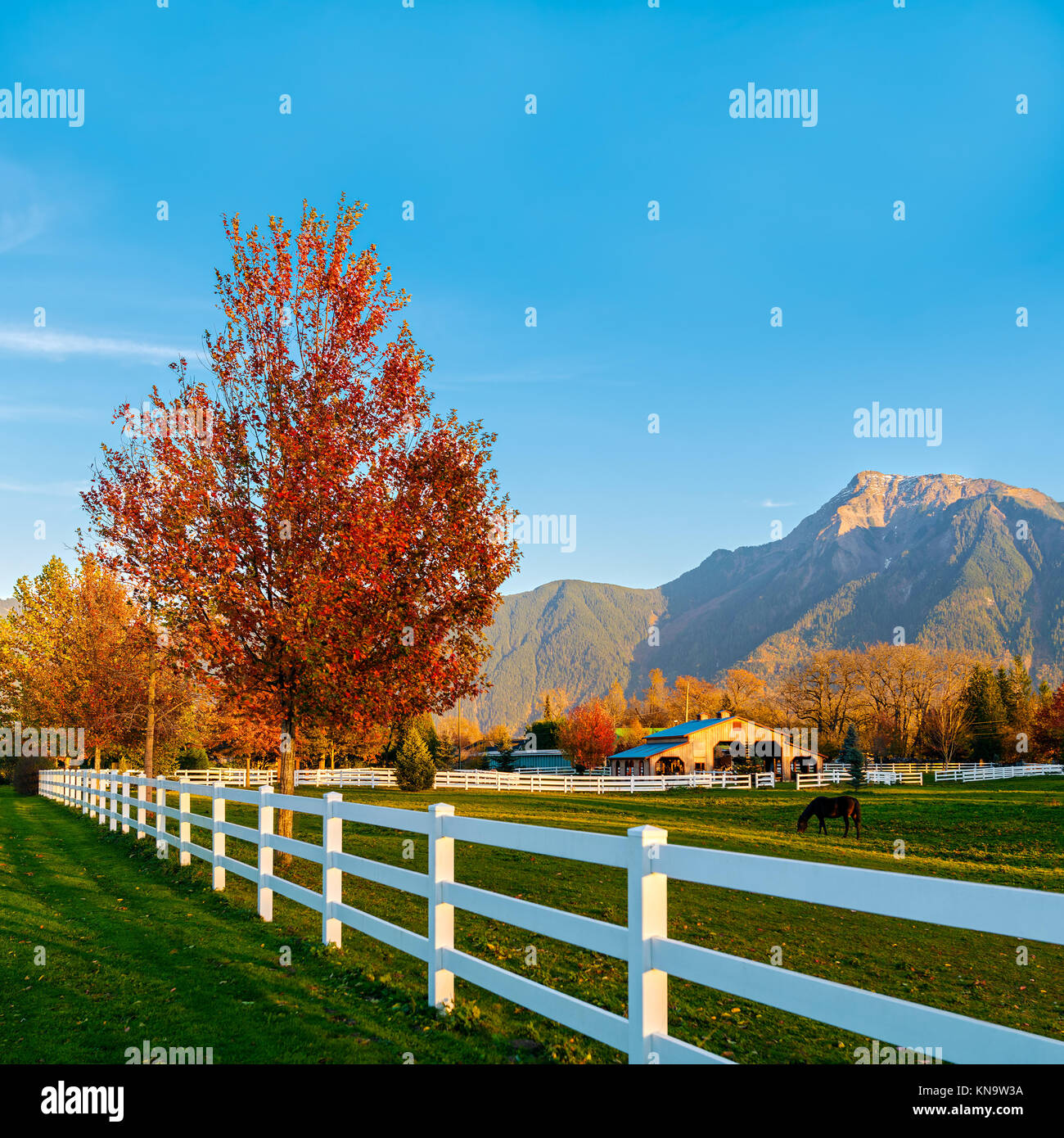 Colorful autumn landscape scene with farm fence and a snowy mountain in ...