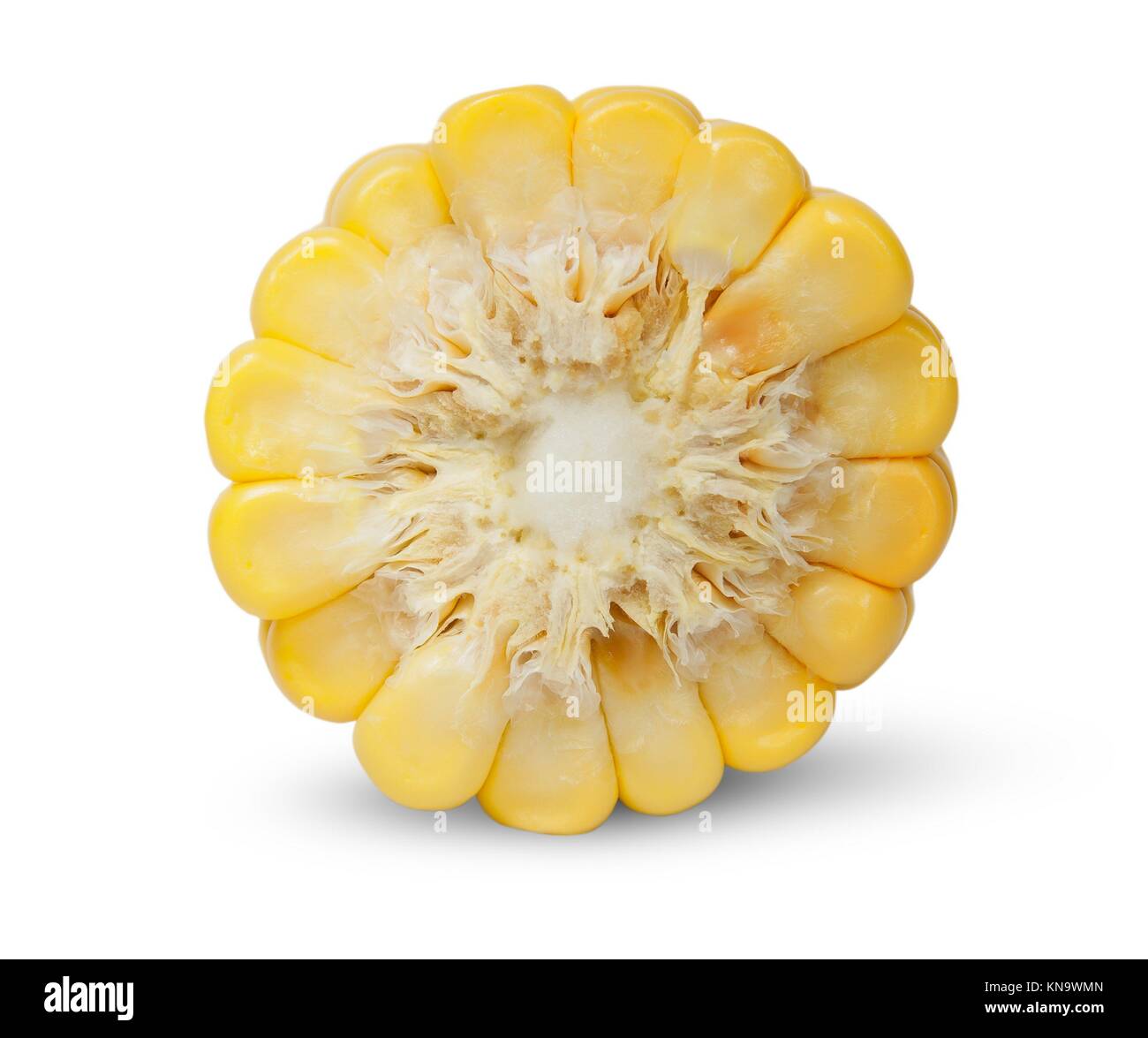Ear of corn piece Cut Out Stock Images & Pictures - Alamy