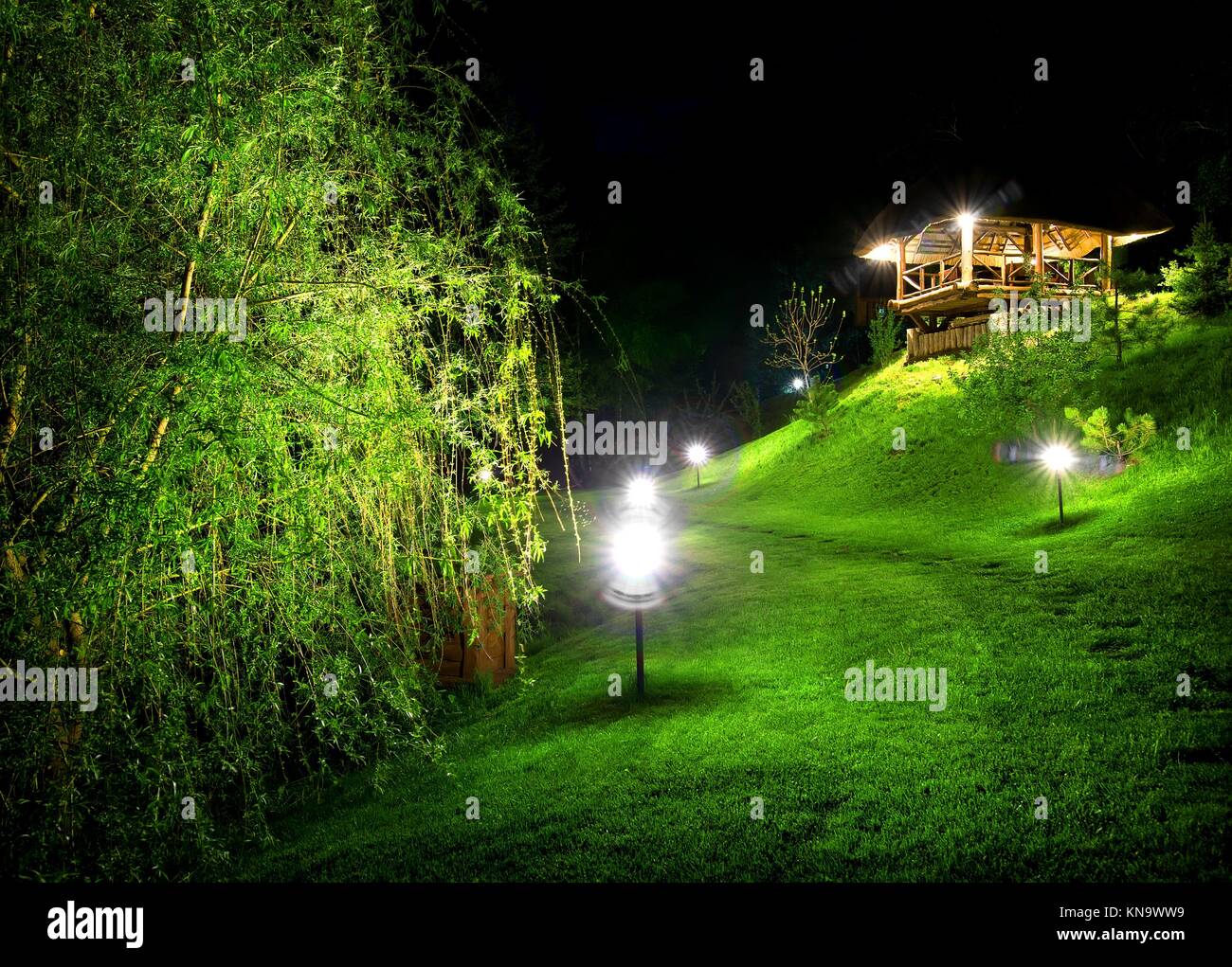 Osier tree hi-res stock photography and images - Alamy