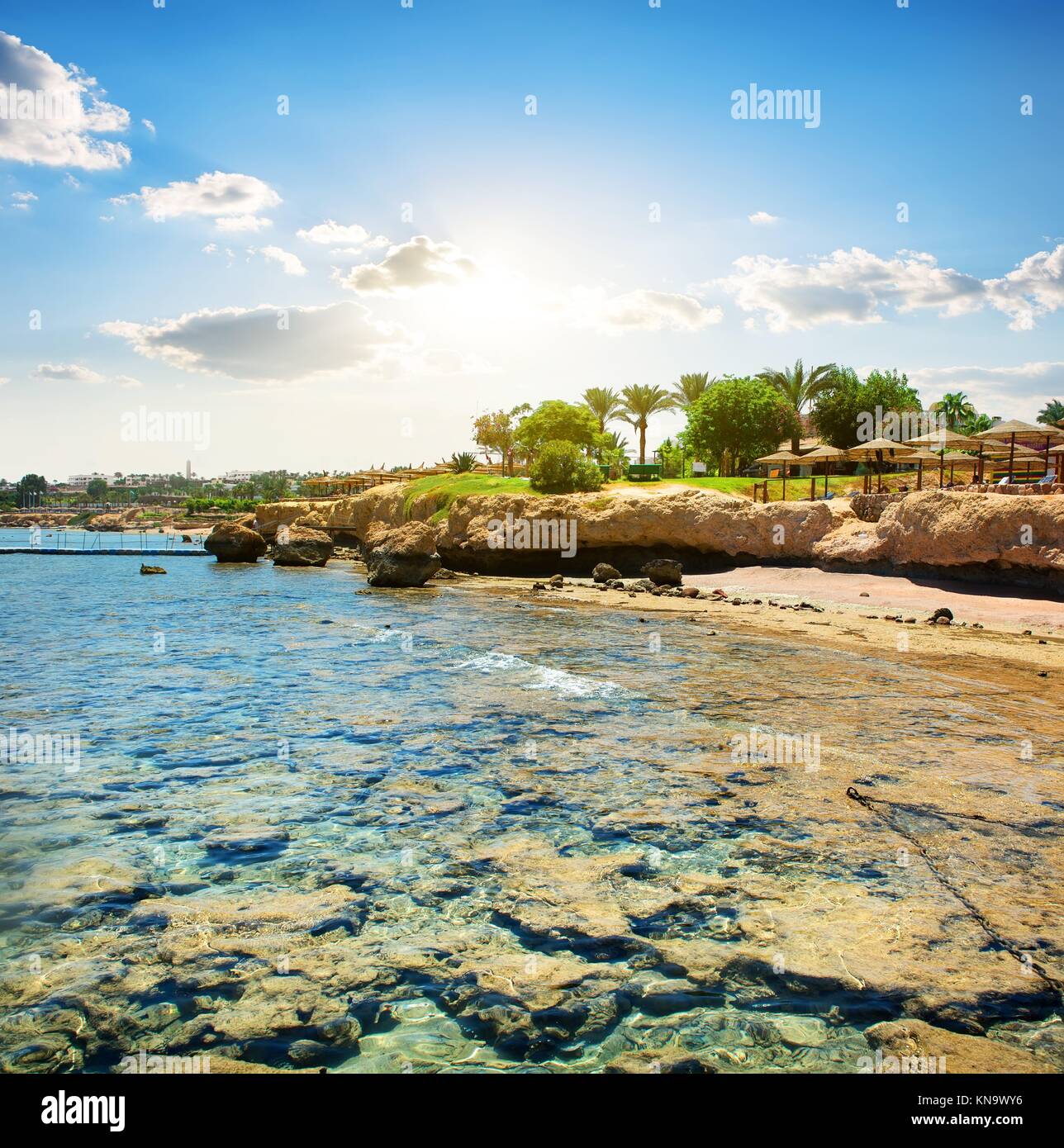 Beautiful coral reefs hi-res stock photography and images - Alamy