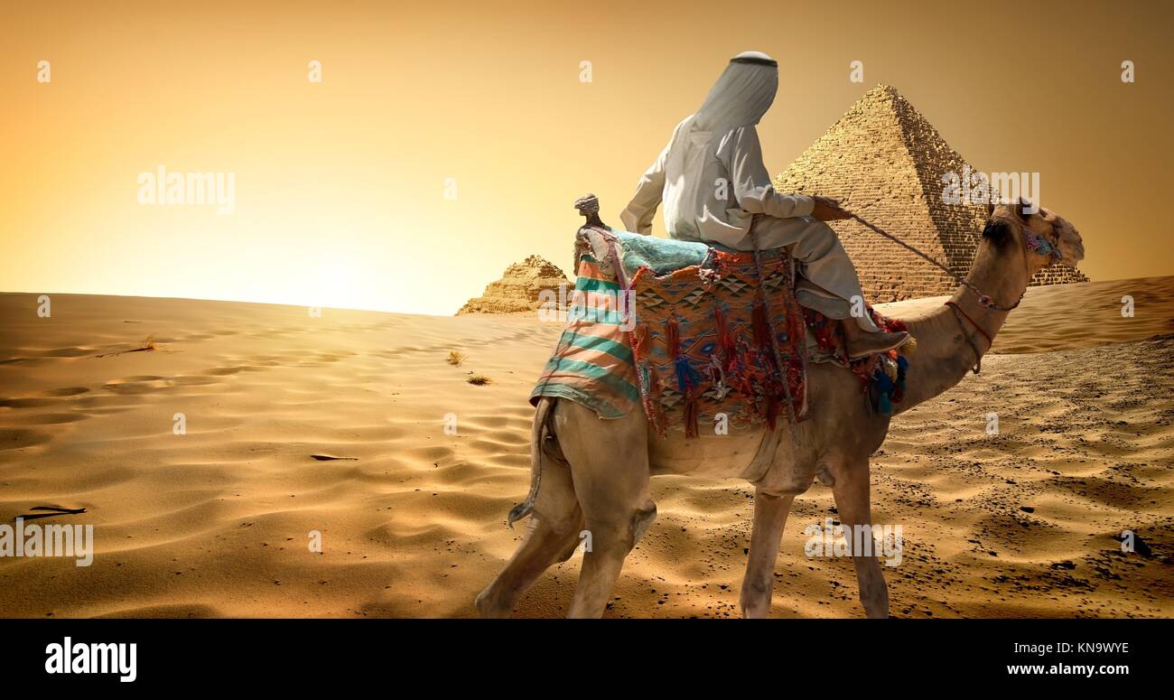 Bedouin on camel in sand desert near pyramids Stock Photo - Alamy