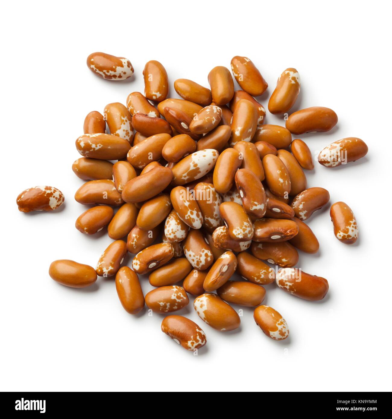 Jacobs cattle bean hi-res stock photography and images - Alamy