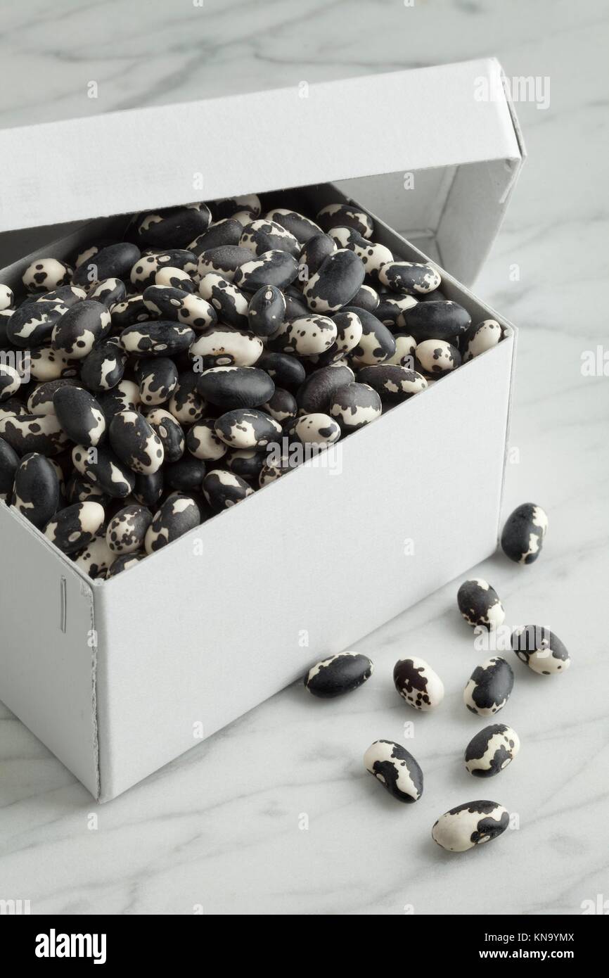 Box Bean High Resolution Stock Photography and Images - Alamy