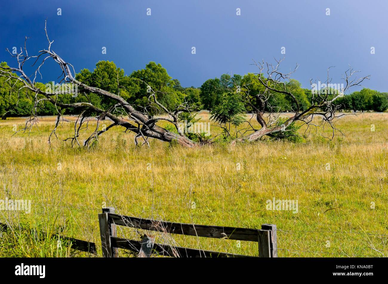 Sky pasture hi-res stock photography and images - Alamy