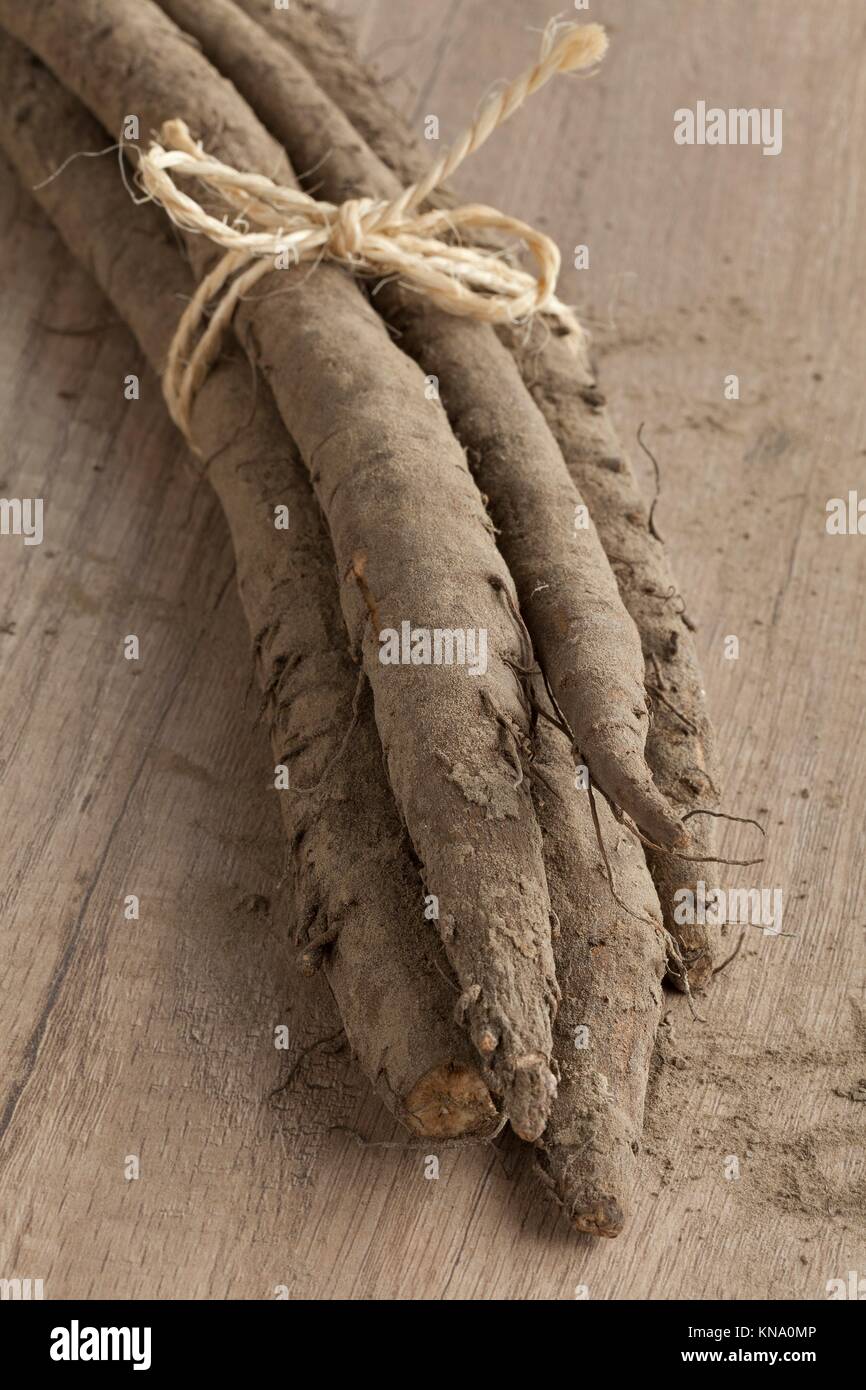 Taproots not carrot hi-res stock photography and images - Alamy