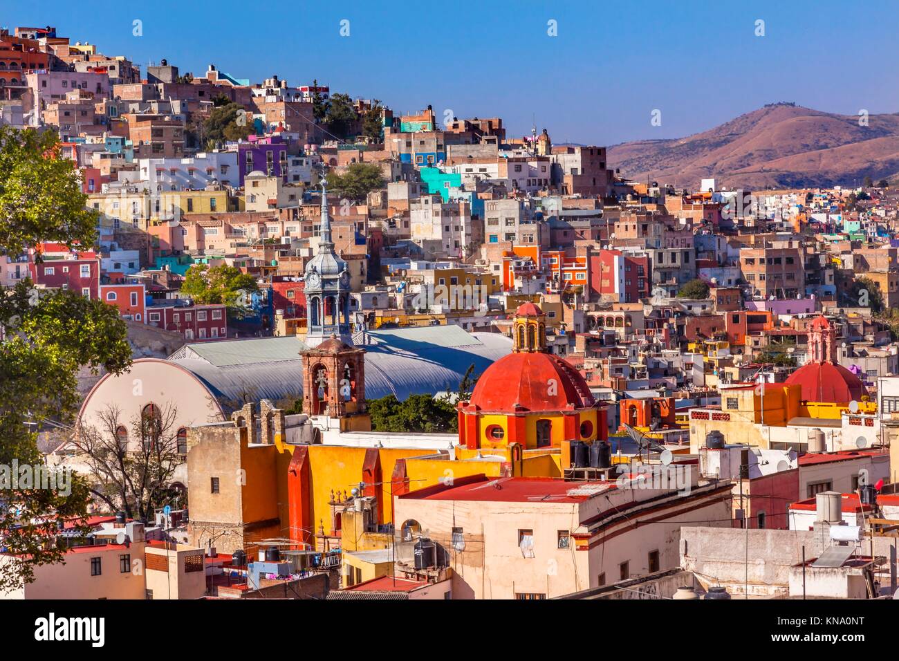 Hidalgo market guanajuato mexico hi-res stock photography and images ...