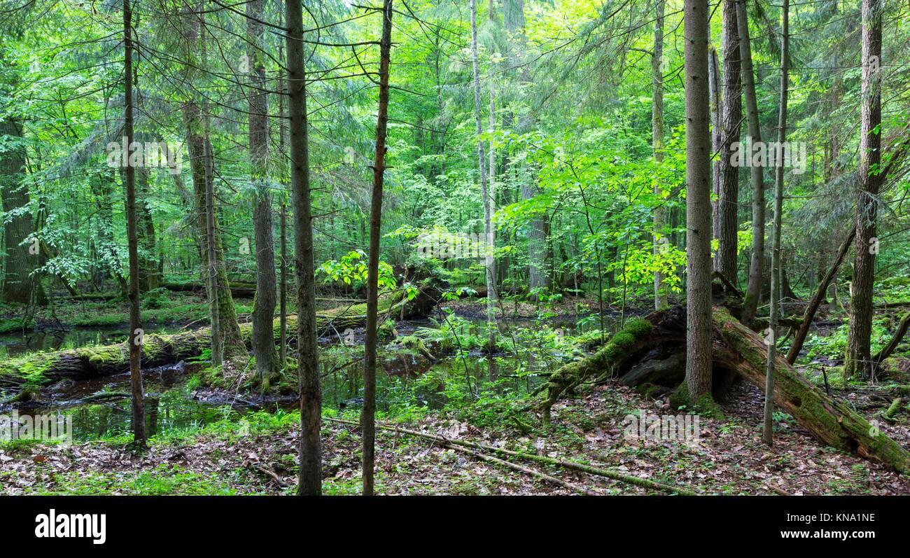 Poland Spring Water High Resolution Stock Photography and Images - Alamy