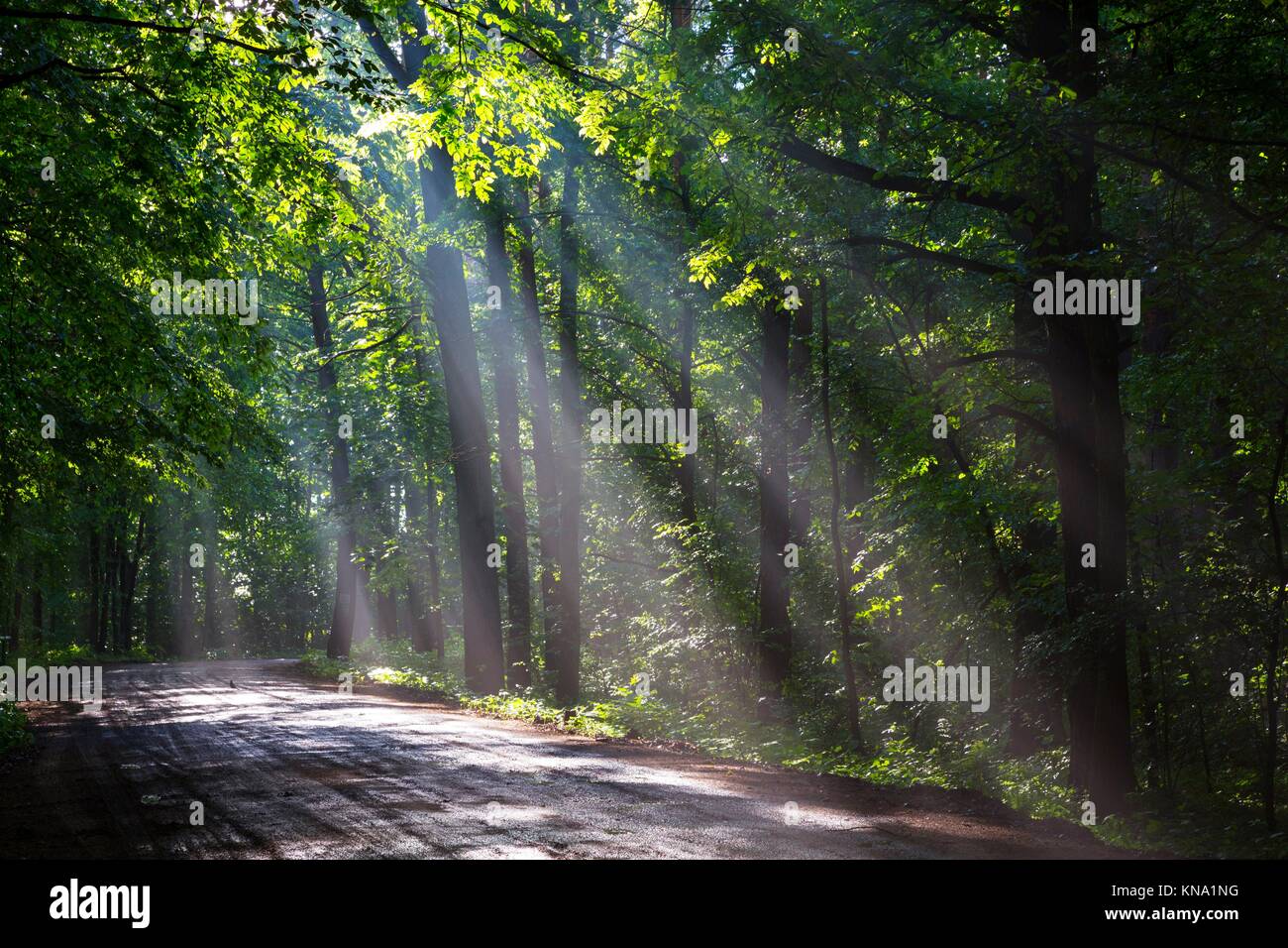 Beam crossing hi-res stock photography and images - Alamy