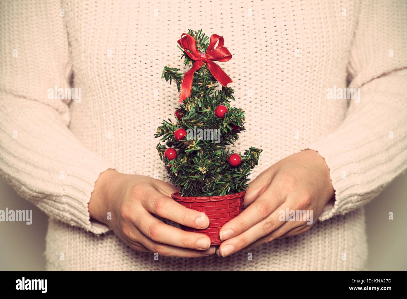 Hand holding tree hi-res stock photography and images - Alamy