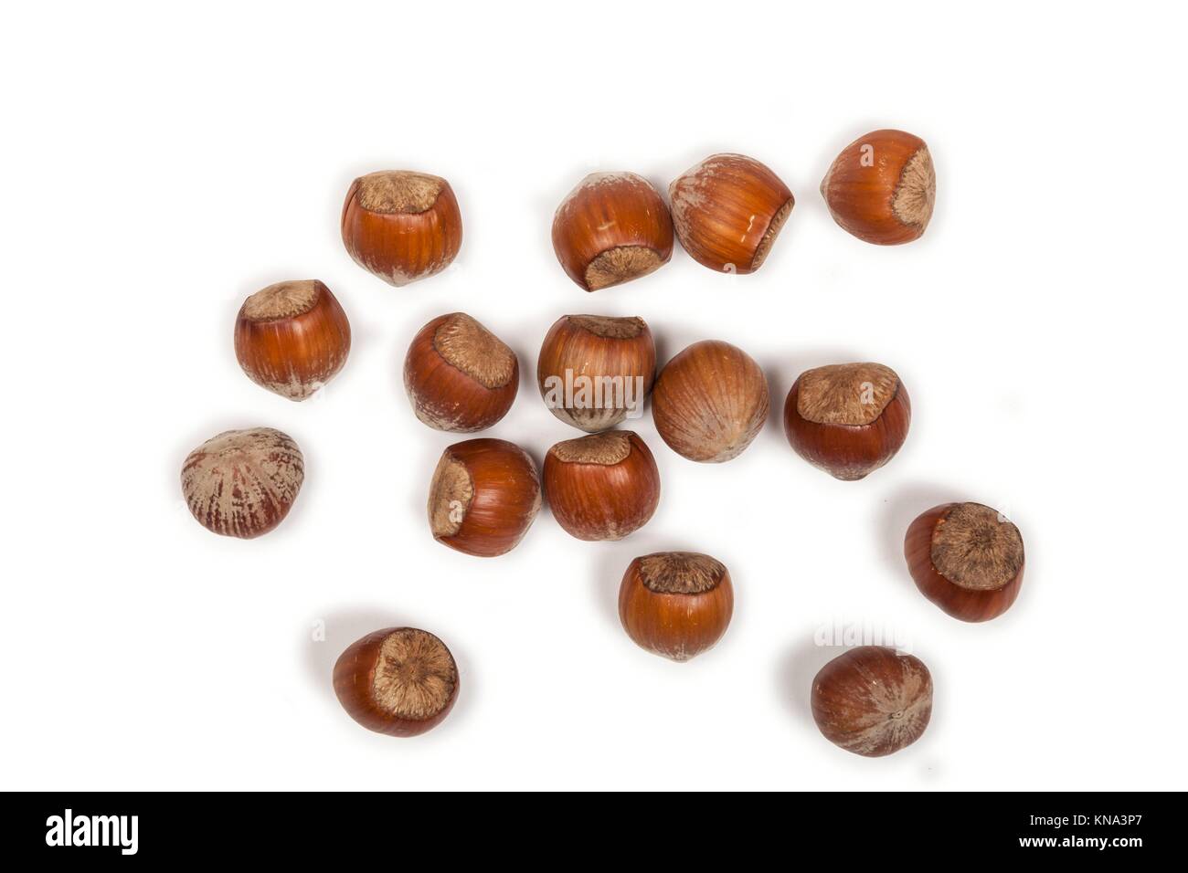 Hazelnut texture hi-res stock photography and images - Alamy