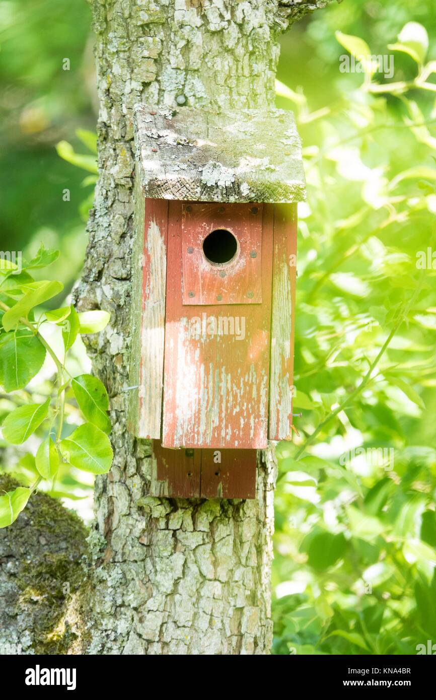 Birdhouse In The Forest Stock Photos & Birdhouse In The Forest Stock ...