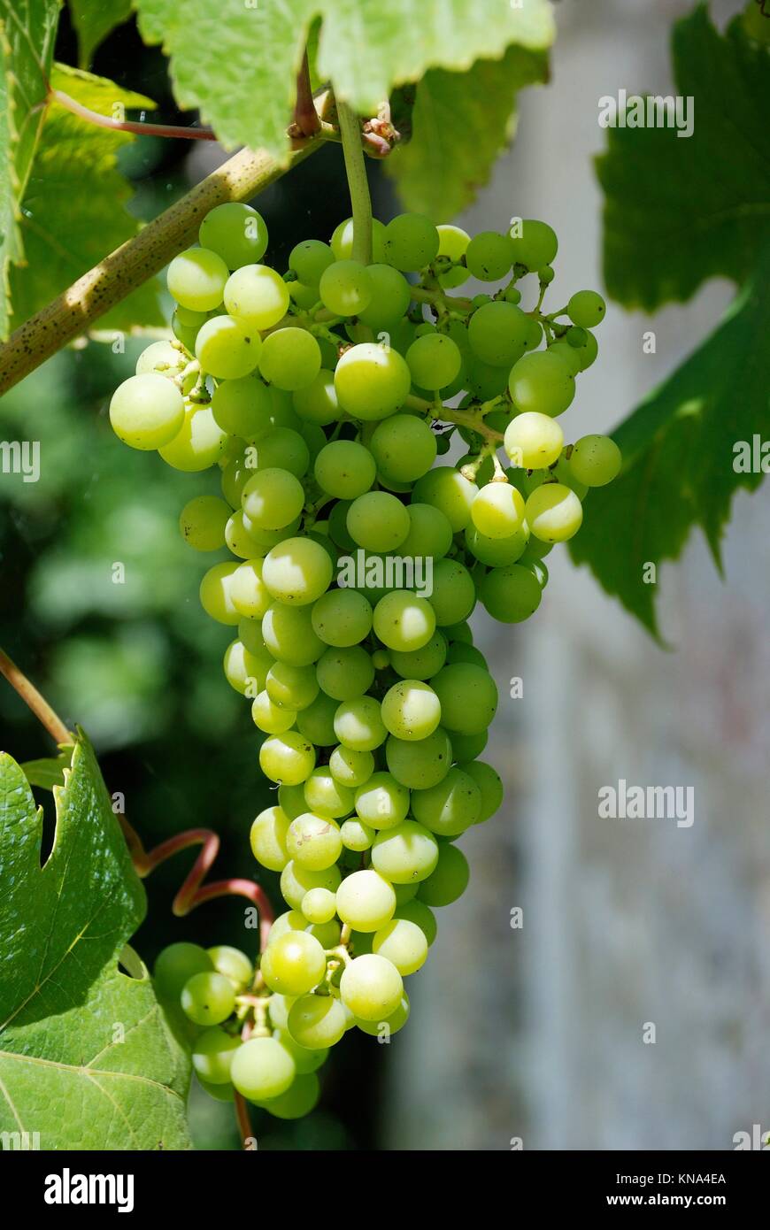 Trans of france hi-res stock photography and images - Alamy