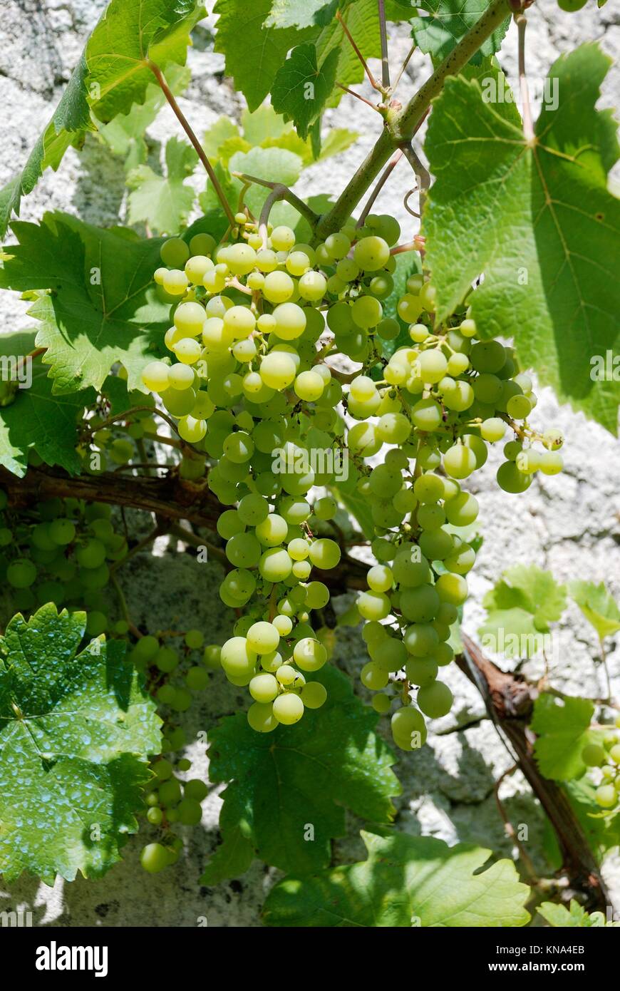 Trans of france hi-res stock photography and images - Alamy