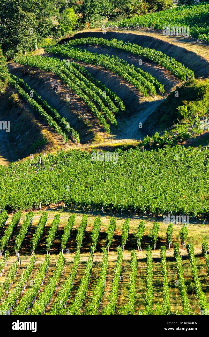 Fronsac High Resolution Stock Photography and Images - Alamy