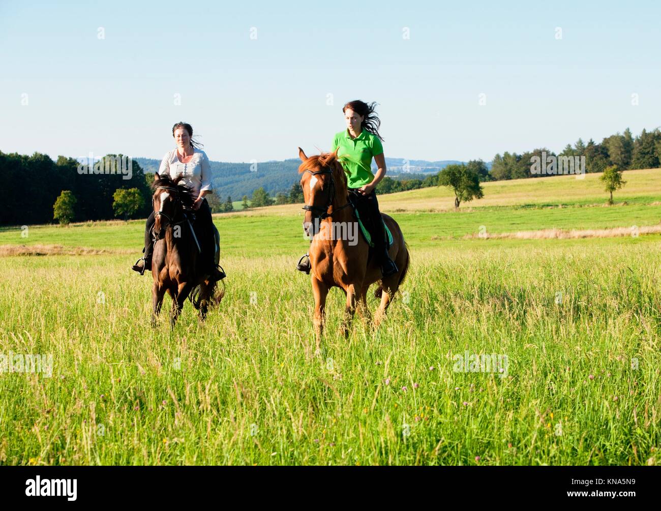 Women Riding Horseback Rider High Resolution Stock Photography and ...