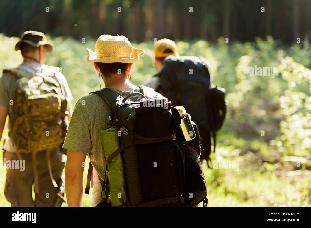 Group of people seen from behind hi-res stock photography and images ...
