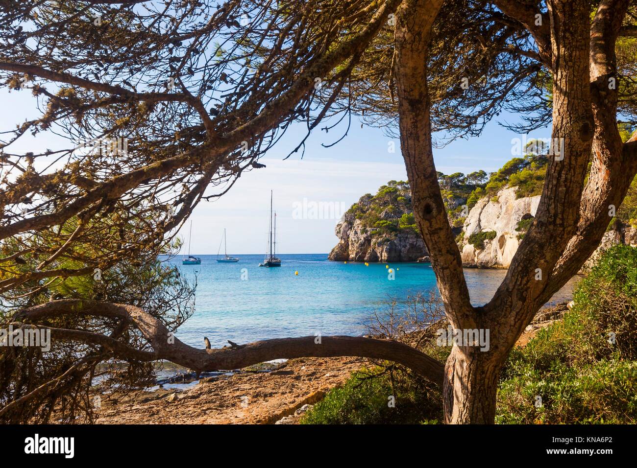 Macarella beach trees boat hi-res stock photography and images - Alamy
