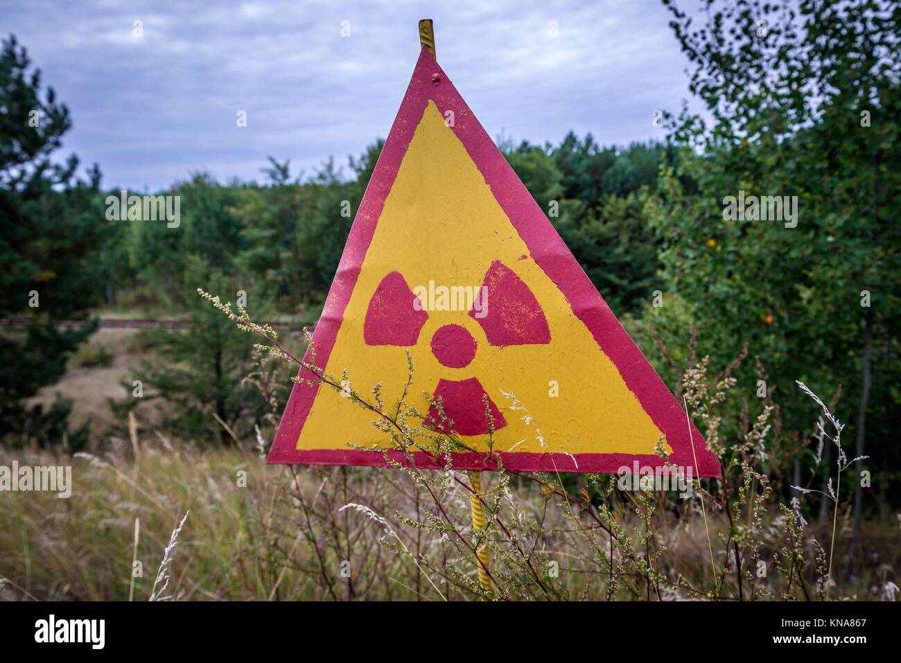 Red forest chernobyl High Resolution Stock Photography and Images - Alamy
