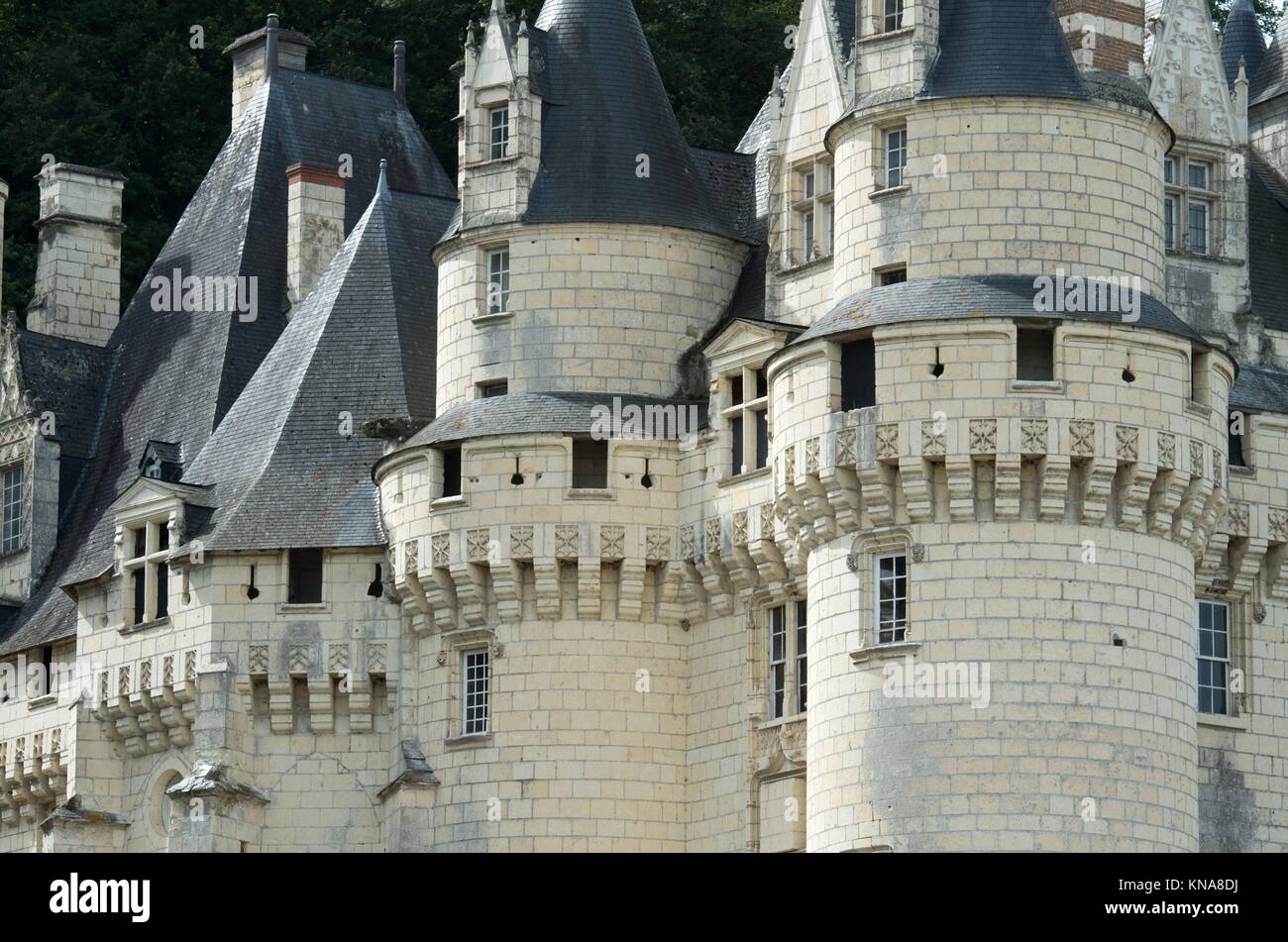 Usse forest hi-res stock photography and images - Alamy