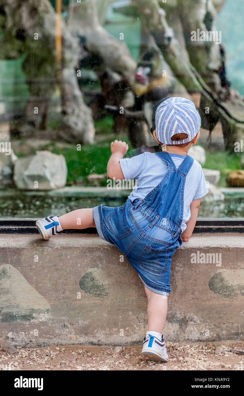 Zoo animal enclosure hi-res stock photography and images - Alamy