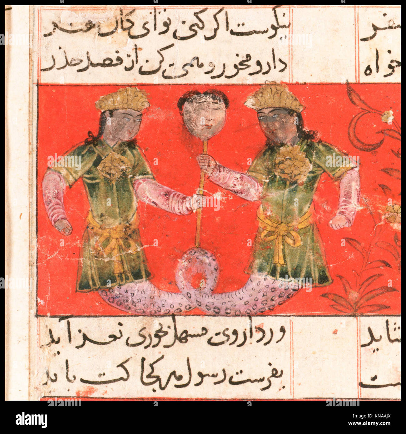 Munis High Resolution Stock Photography and Images - Alamy