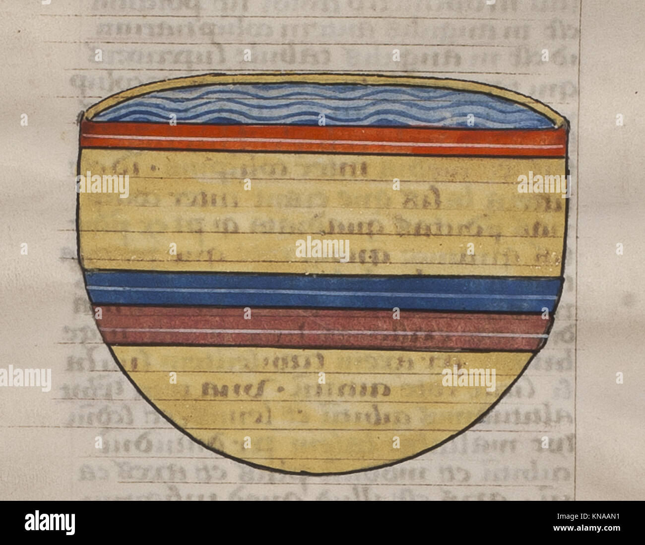 Postilla litteralis hi-res stock photography and images - Alamy