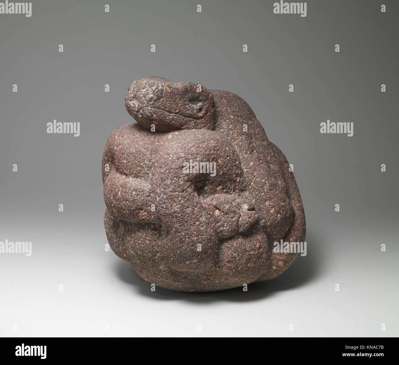 Coiled serpent hi-res stock photography and images - Alamy