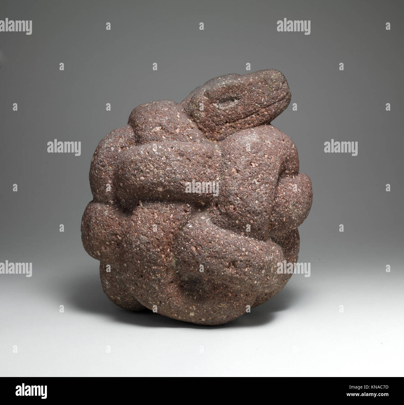 Coiled Serpent High Resolution Stock Photography and Images - Alamy