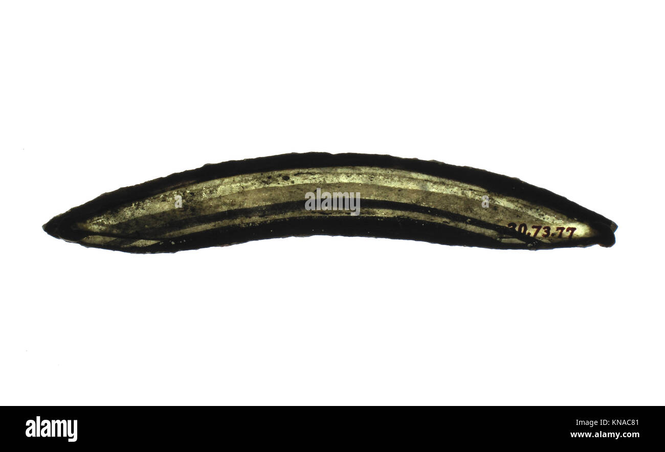 This ancient pottery fragment provides insight into historical material ...